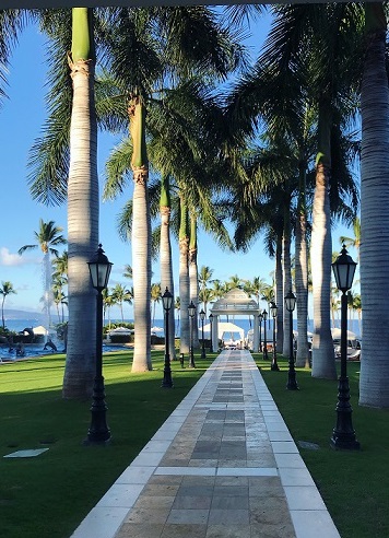 Travel Insider logo – The Travel Insider